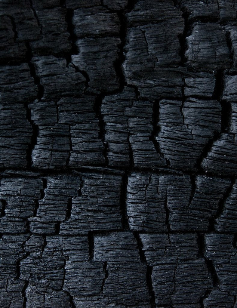 Charcoal Bark– Joe Bananas | Australia
